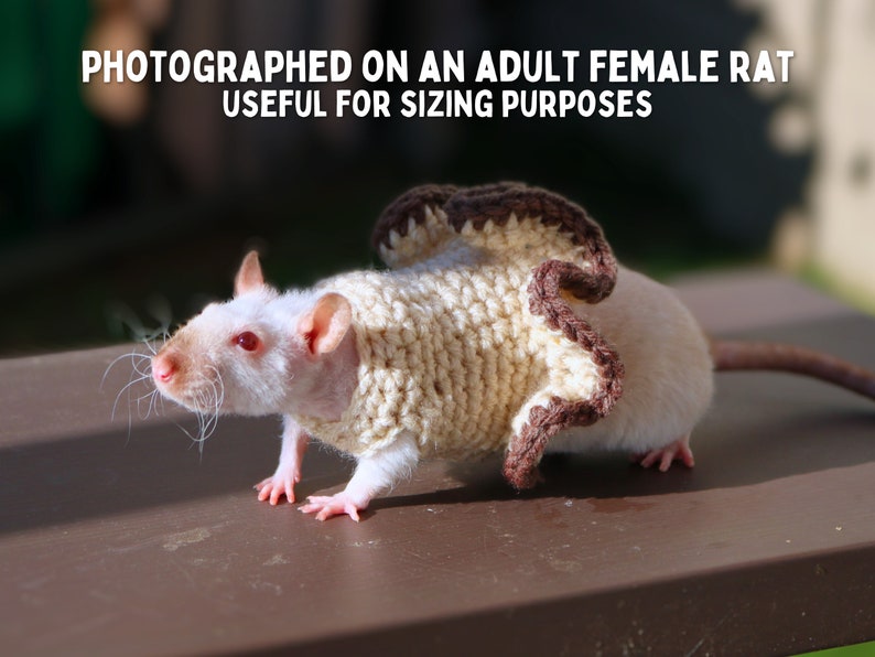 Rat Dress for Rat Crochet Dress for Pet Rat Sweater for Fancy Rat ...