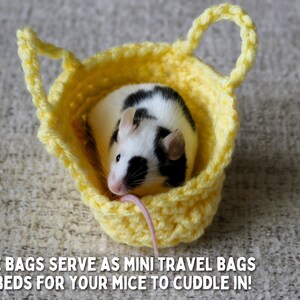 Small Pet Carrier for Mouse Carrier for Rodent Toy for Mouse Cage Toys ...
