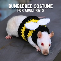 Crochet Rat Sweater for Fancy Rat Clothing for Small Pet Clothing for ...