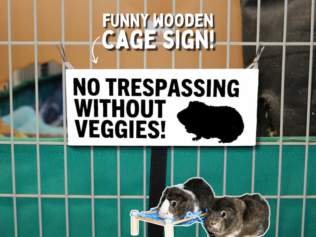 Wooden Guinea Pig Cage Sign, No Trespassing Without Veggies! Cute and ...