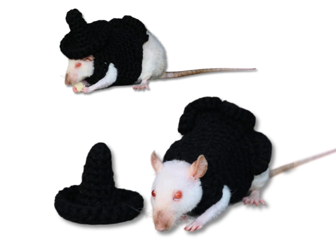Rat Costume for Pet Rat Halloween Costume for Small Pet Halloween ...