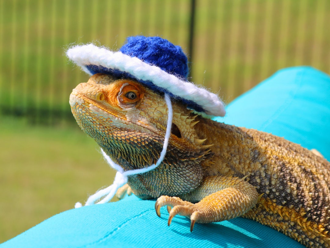 Cowboy Hat for Reptile Sombrero Hat for Pet Lizard Accessories for ...