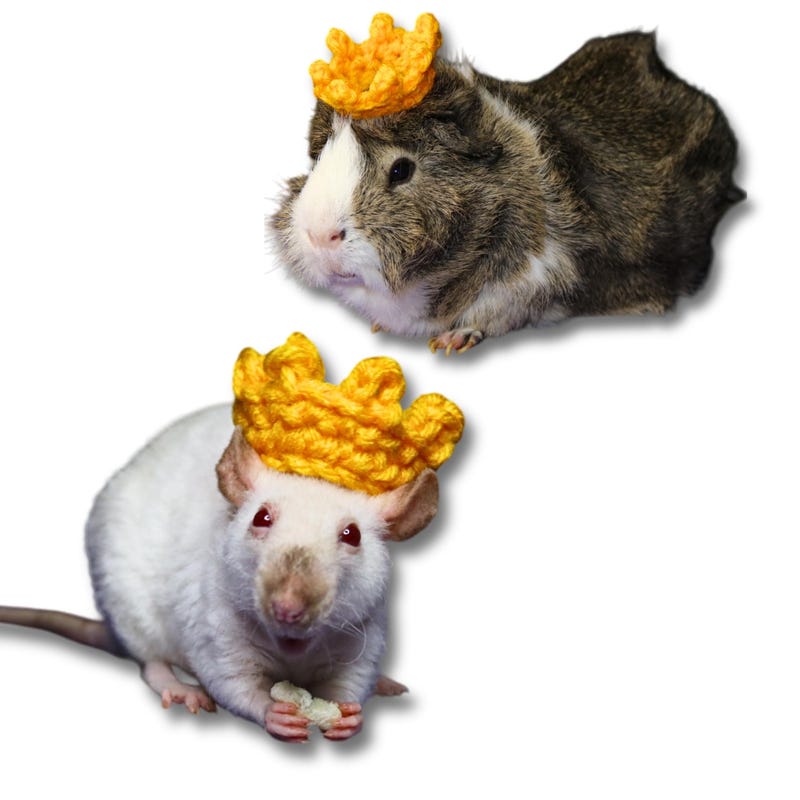 Rat King Costume - Etsy