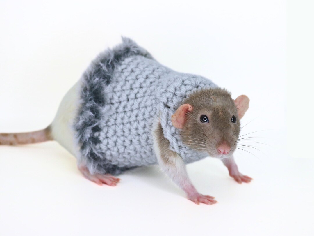 Furry Rat Sweater for Rat Crochet Sweater for Small Pet Dress for Rat ...