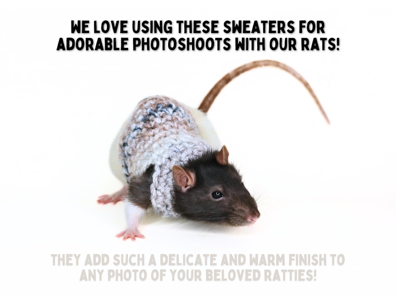 Crochet Rat Sweater for Fancy Rat Clothing for Small Pet Clothing for ...