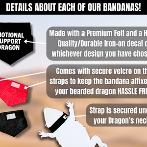 Emotional Support Dragon Bandana for Bearded Dragons Custom ...