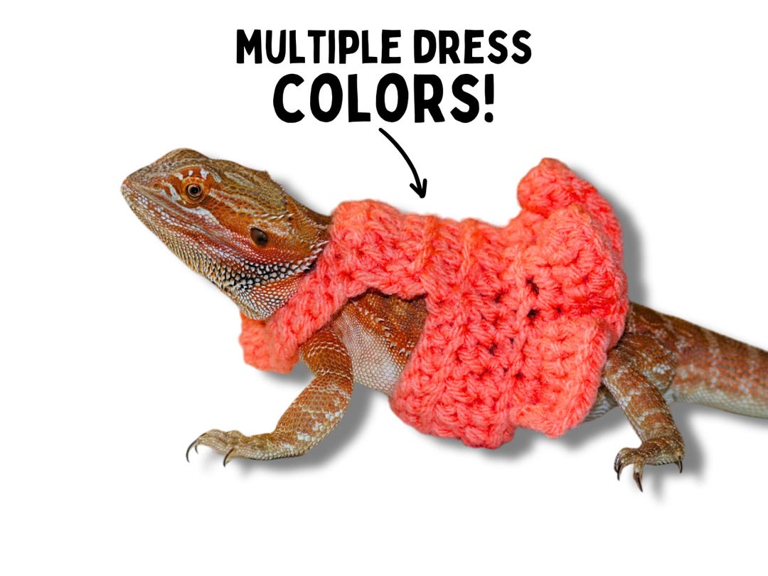 Bearded Dragon Dress for Bearded Dragon Clothing for Reptile Clothing ...