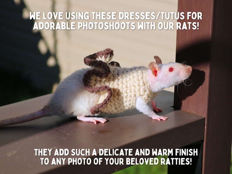 Rat Dress for Rat Crochet Dress for Pet Rat Sweater for Fancy Rat ...