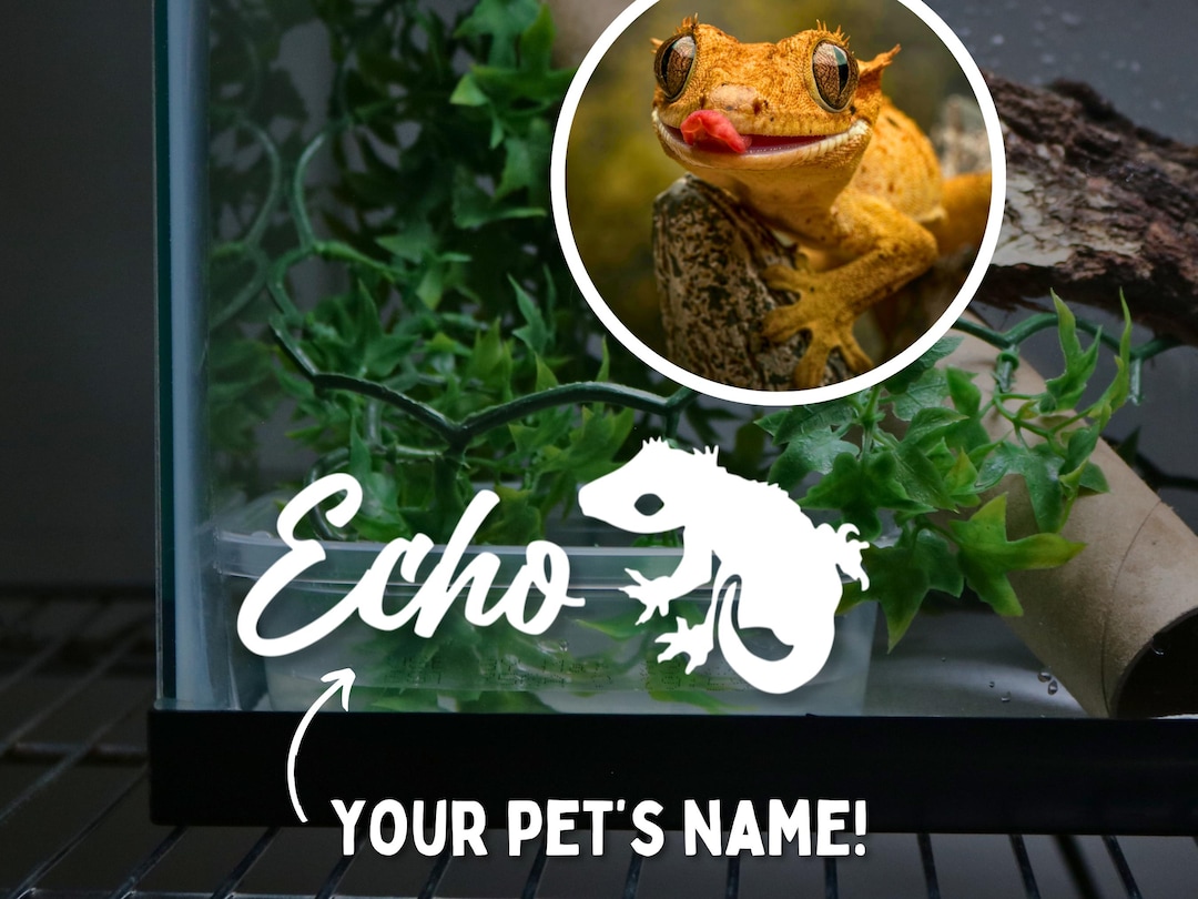 Crested Gecko Name Decal for Crested Gecko Enclosure Accessories for ...