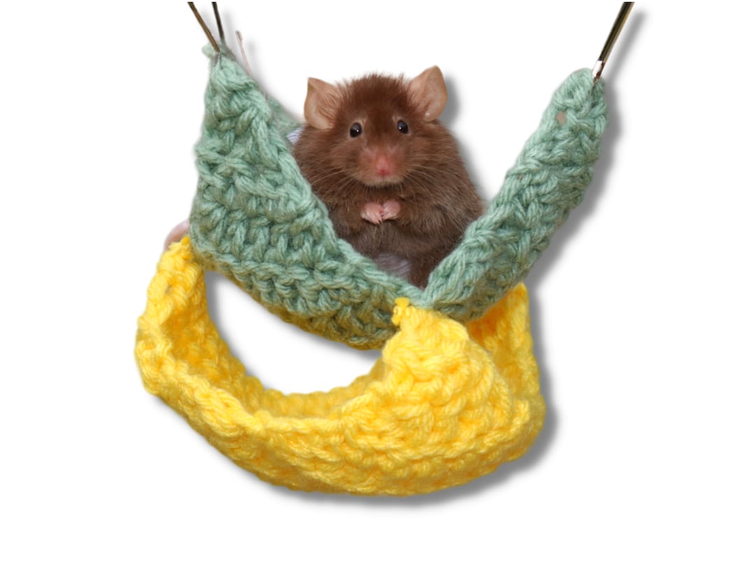 Hanging Hammock for Mice Toys for Enrichment Toys Boredom Breakers for ...