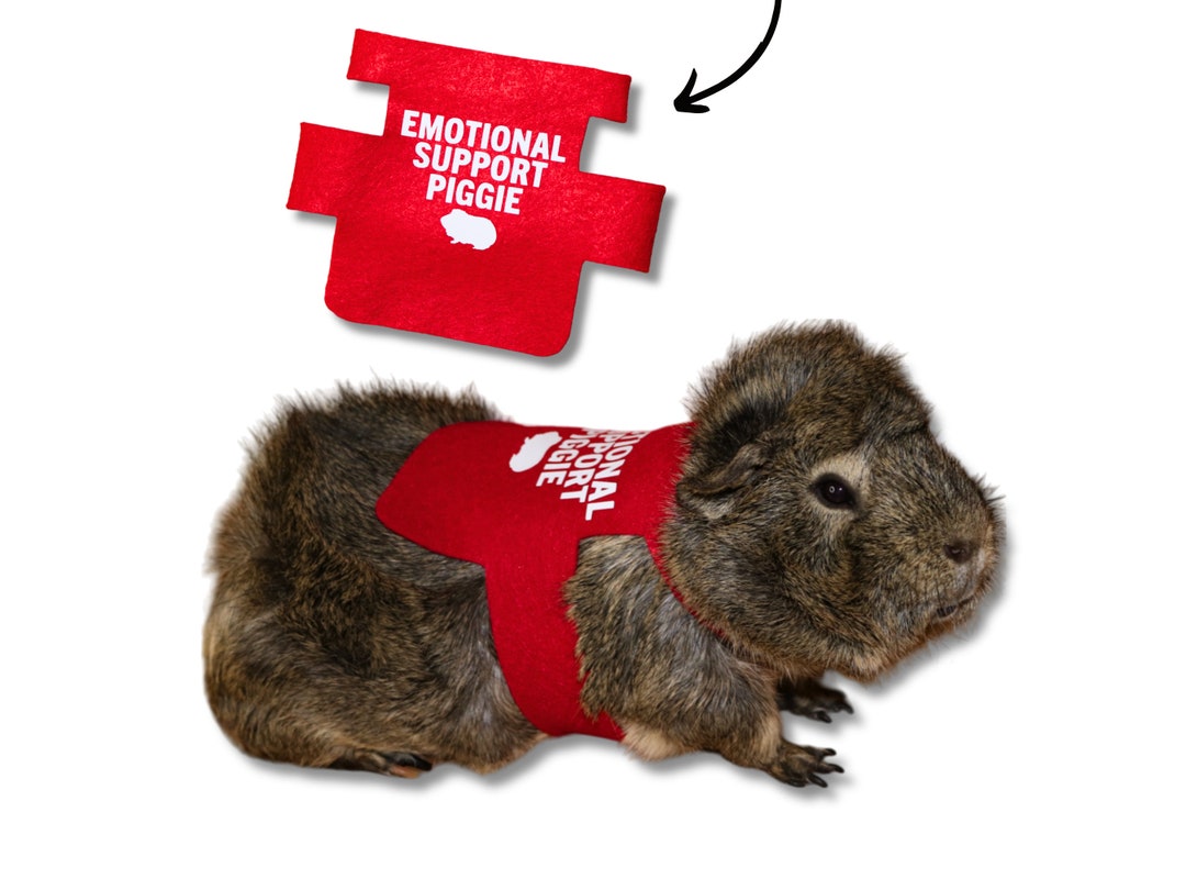 Emotional Support Piggie Guinea Pig Shirt, Registered ESA Pet Vest for ...