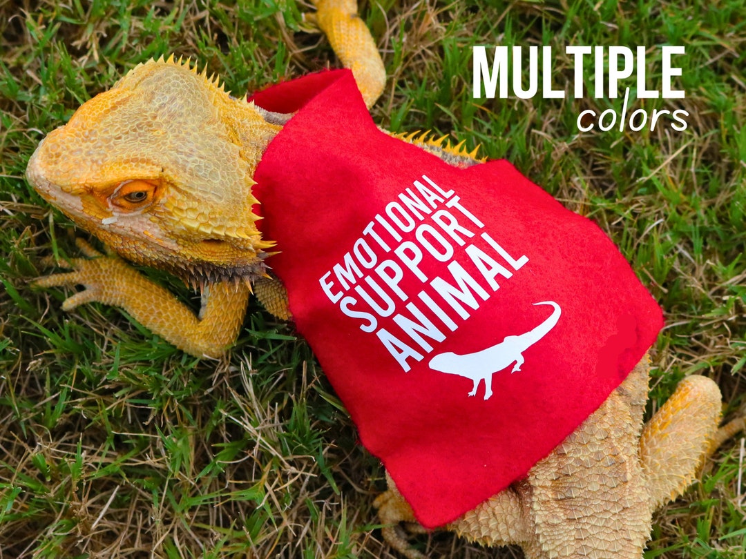 Emotional Support Animal Shirt for Bearded Dragon Funny Shirt for Bearded Dragon Clothing Funny ...