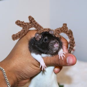 Reindeer Antlers for Pet Rat Christmas Outfit for Small Pet Christmas ...