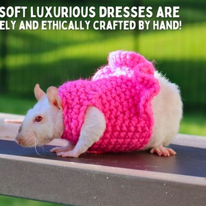 Rat Dress for Rat Crochet Dress for Pet Rat Sweater for Fancy Rat ...
