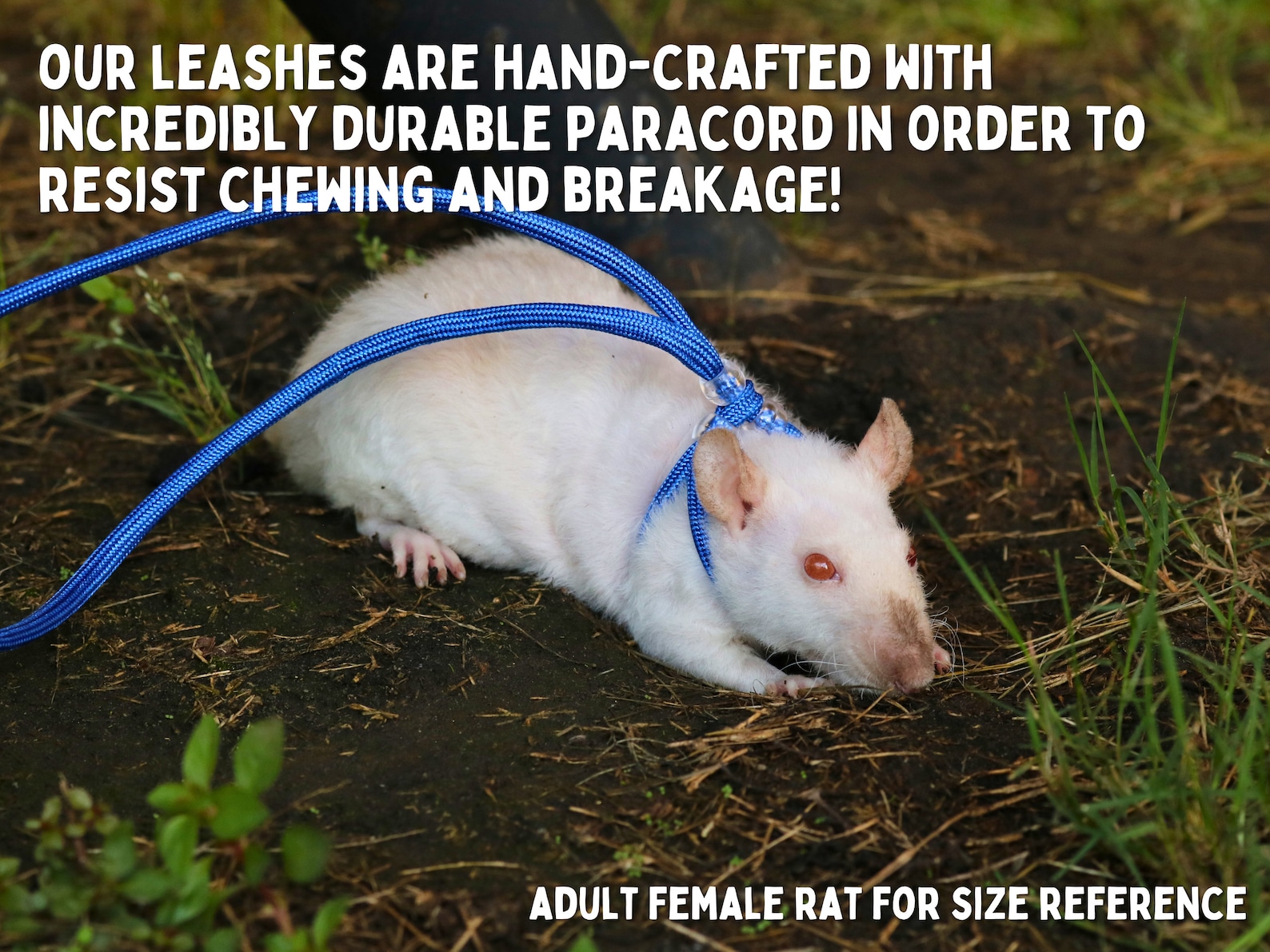 Rat Leash for Pet Rat Adjustable Leash for Rat Harness for Small Pet ...