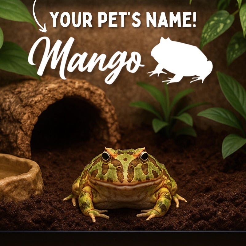 Frog Tank Stickers - Etsy UK