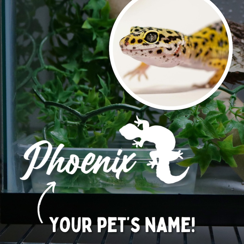 Leopard Gecko Stuffed - Etsy UK