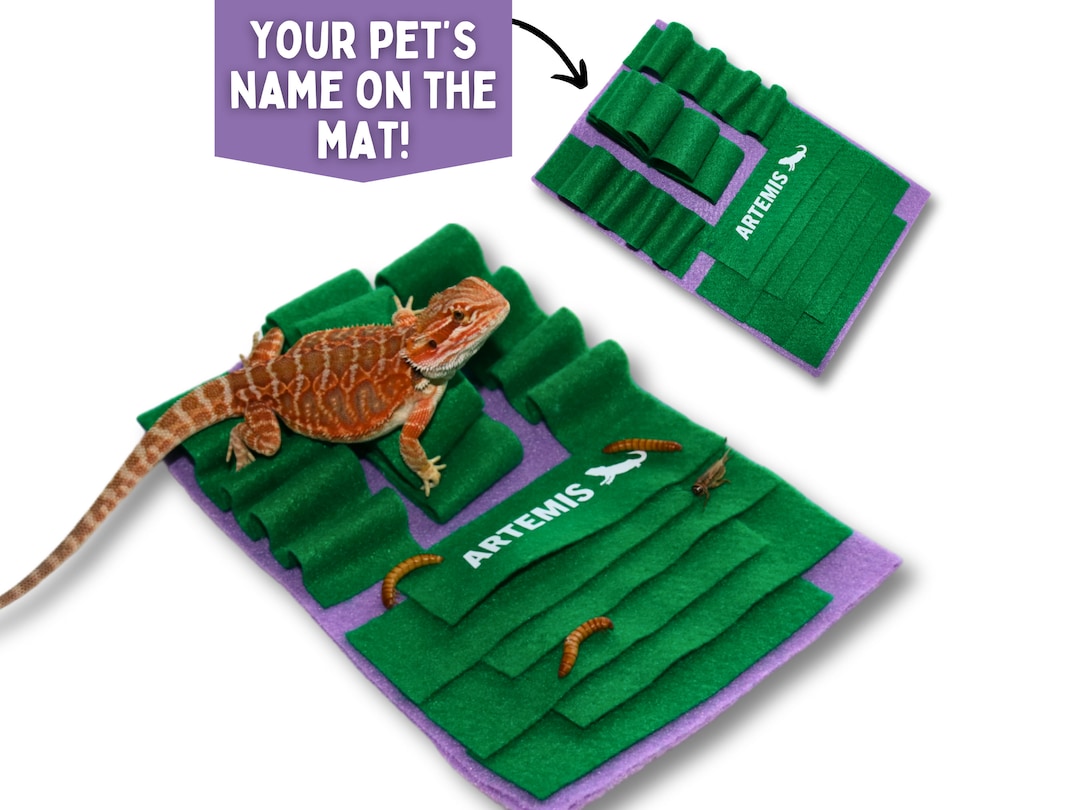 Bearded Dragon Foraging Mat for Reptile Forage Toy for Lizard Foraging ...