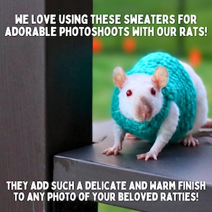 Rat Sweater for Rat Crochet Sweater for Small Pet Sweater for Fancy Rat ...