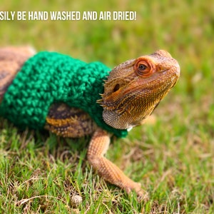 Bearded Dragon Sweater, Lizard Sweater, Lizard Shirt, Bearded Dragon ...