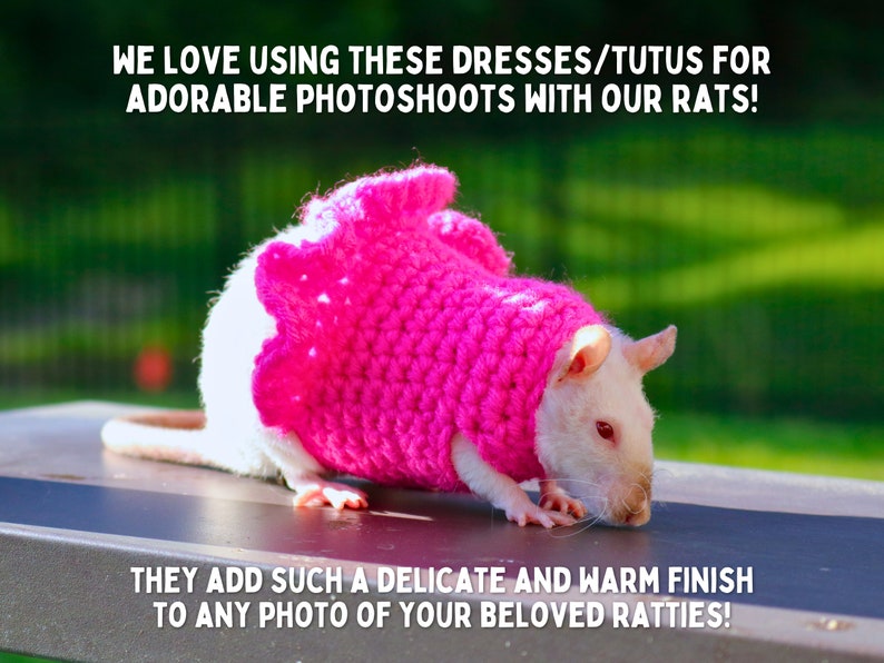 Rat Dress for Rat Crochet Dress for Pet Rat Sweater for Fancy Rat ...