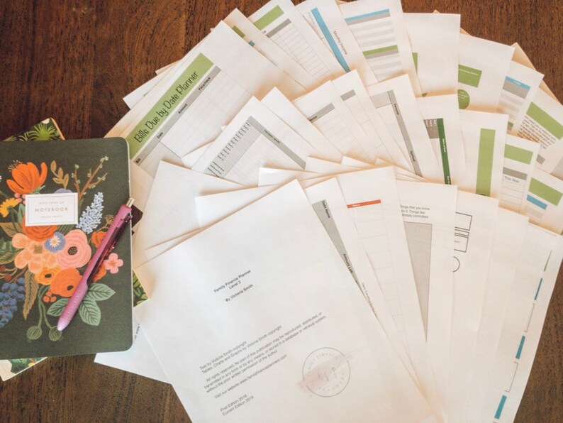 Level 2 Family Finance Planner Workbook/ Budget/ Monthly Planner/ Money ...