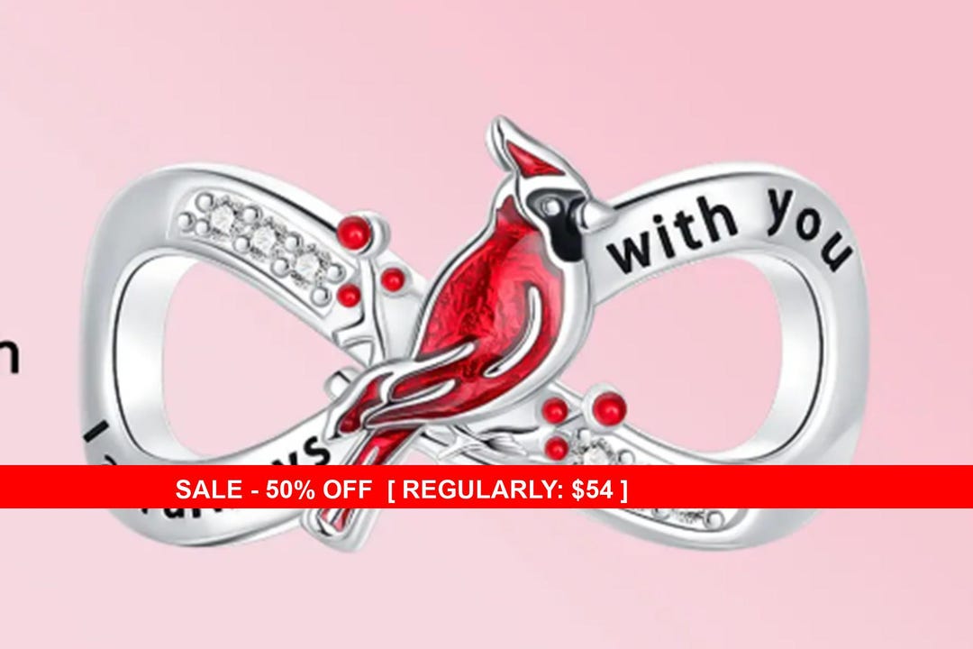 Sterling Silver Infinity Red Cardinal Charm, Red Cardinal, Cardinal ...