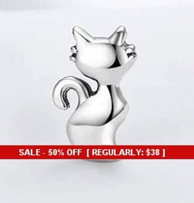 Sterling Silver Petite Floating Locket Charm Cat Charm - Etsy