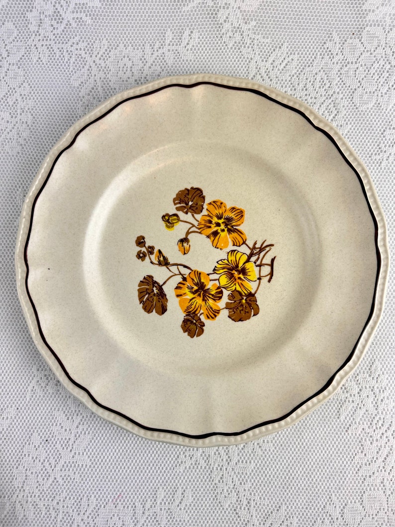 Dinner Plates, Vintage Stoneware, Ironstone Mismatched, Set of 4, Brown ...