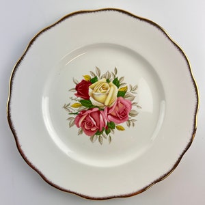 Queen Anne Lady Sylvia Dinner Plates, Fine Bone China, Vintage Plates ...