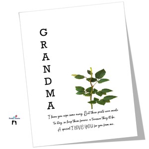 Gift for Grandma, Mother's Day Rose Flower Handprint, Handprint Art ...