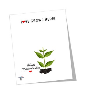 Love Grows Here, Valentines Flower Handprint, Valentine's Day Craft for ...