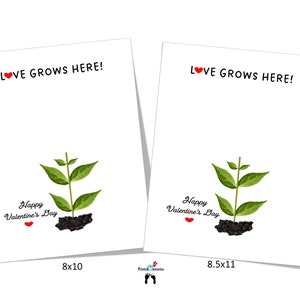 Love Grows Here, Valentines Flower Handprint, Valentine's Day Craft for ...