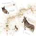 Donkey Farm Birthday Party Digital Invite - Donkey Mule Theme Party ...