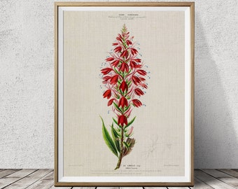 Flower poster | Etsy