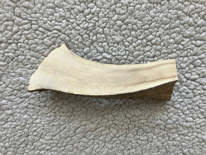 Split Moose Antler Base Dog Chew Sheds Deer Crafts - Etsy