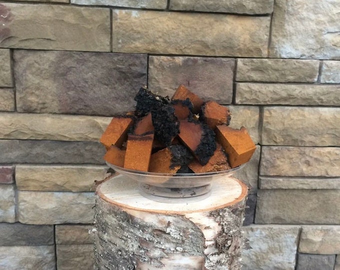 10 Pounds of Northern Maine Chaga Air Dried - Etsy