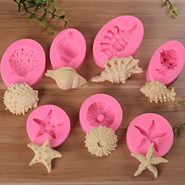 Shell Silicone Mold - Etsy