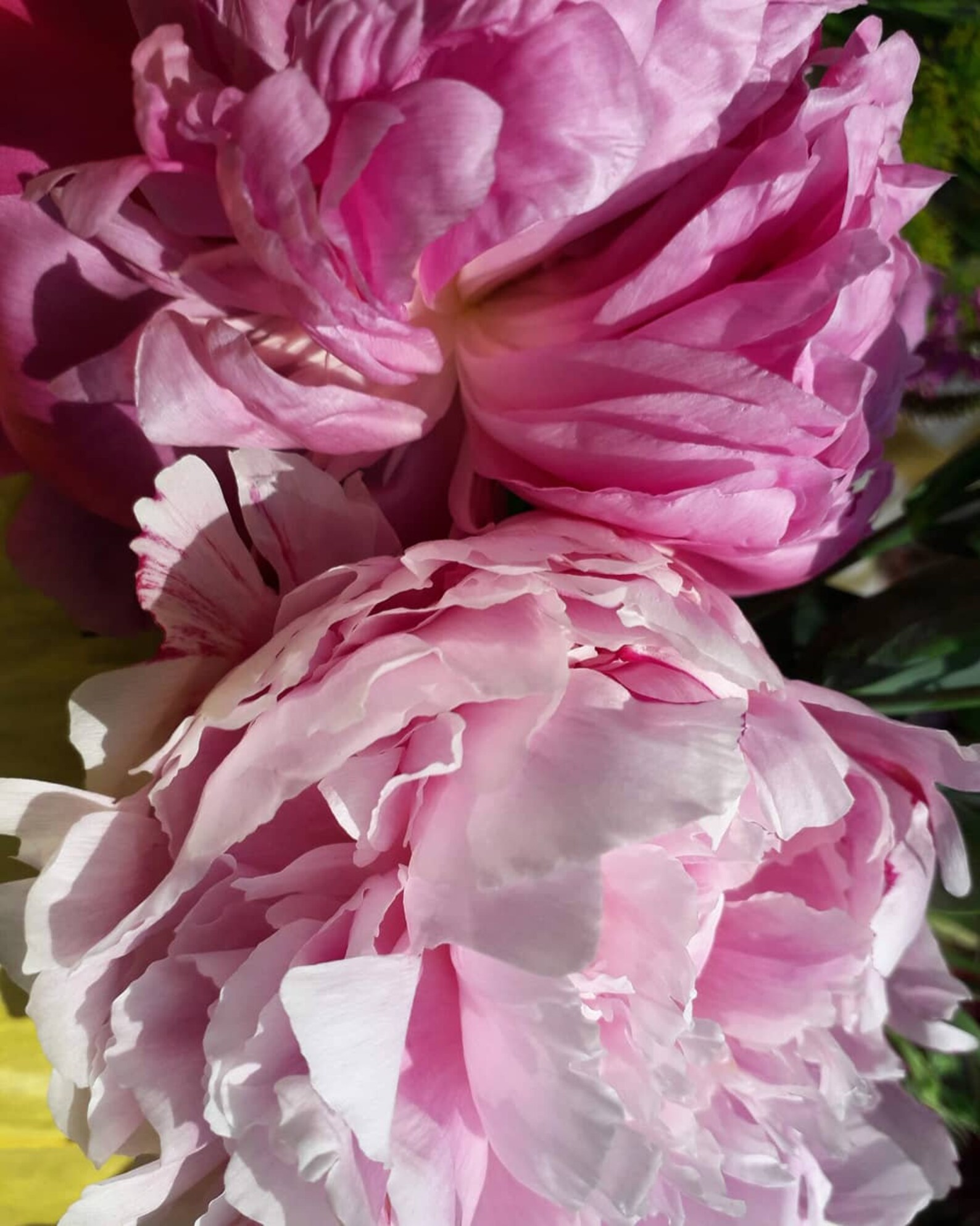 Flor De Maig Perfume Sample - Etsy