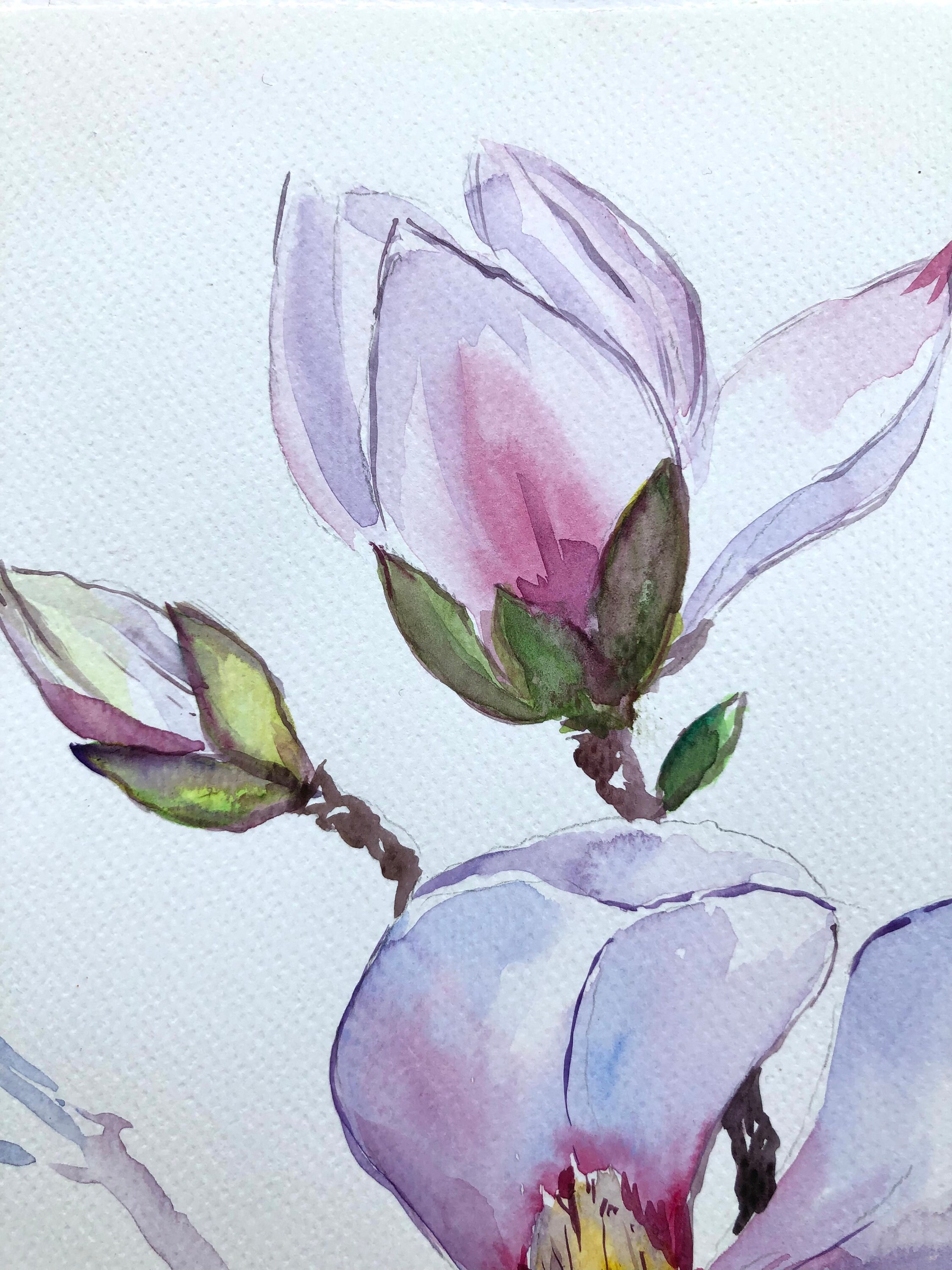 Original Watercolour Painting Magnolia Flowers Tree Home Decor Wall Art ...