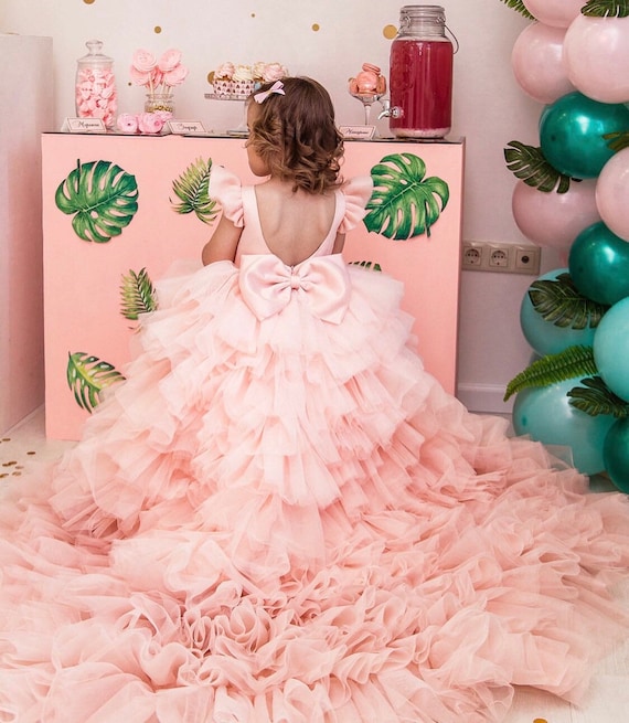 Blush Pink Birthday Girl Dress Toddler Dress Birthday Dress - Etsy