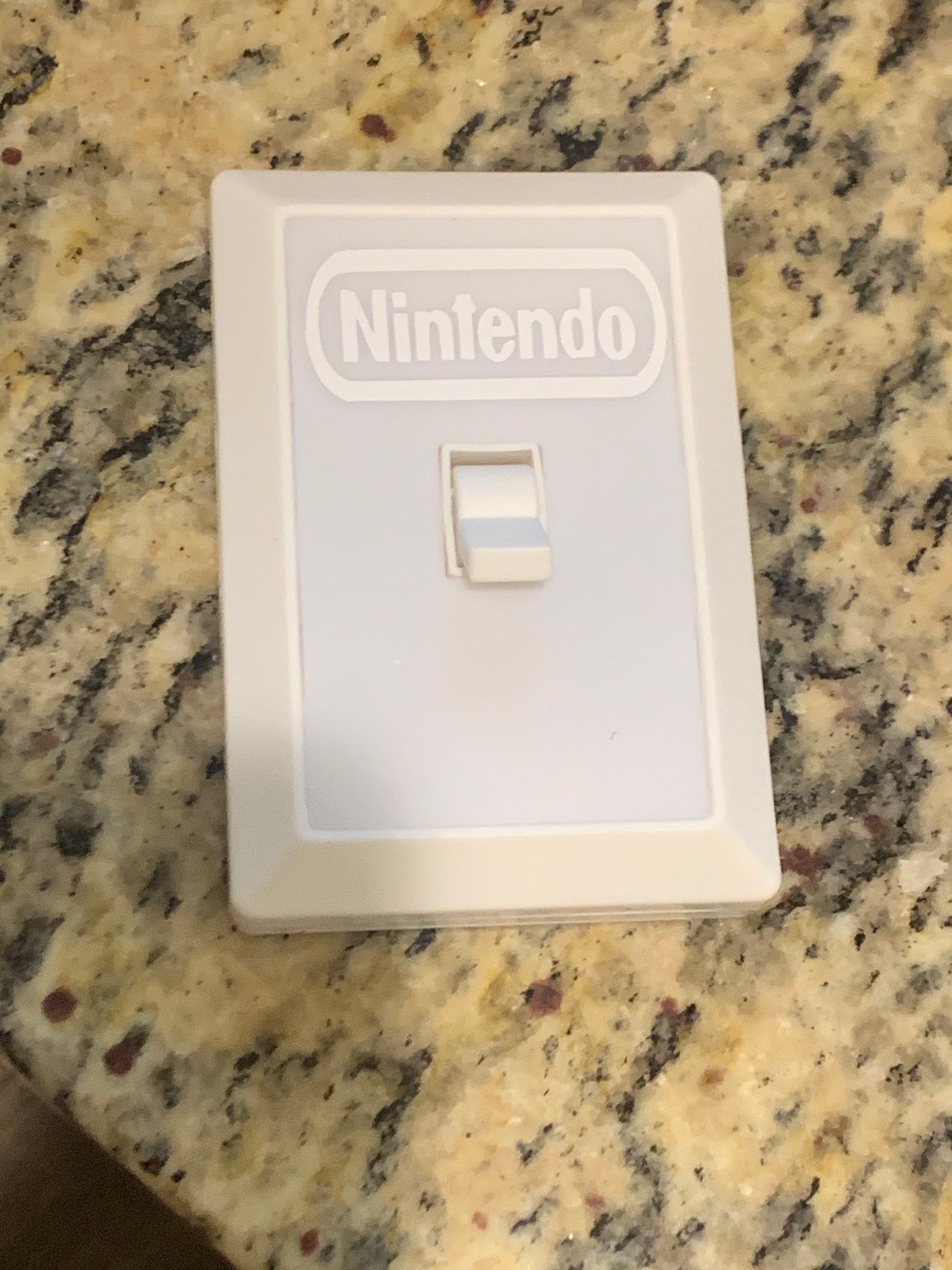 Nintendo Switch Literally a Nintendo Switch Joke Funny Gift - Etsy UK