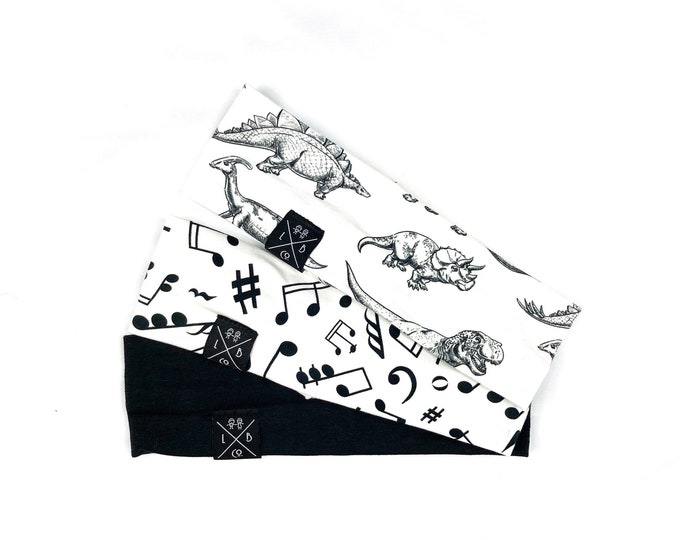 Dinosaurs and Musical Notes Headbands, Great for Babies, Toddlers and ...