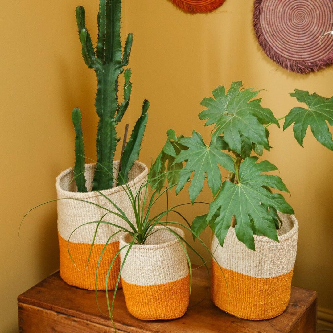 Kenyan Sisal Basket 'turmeric and Natural' Set of Three - Etsy