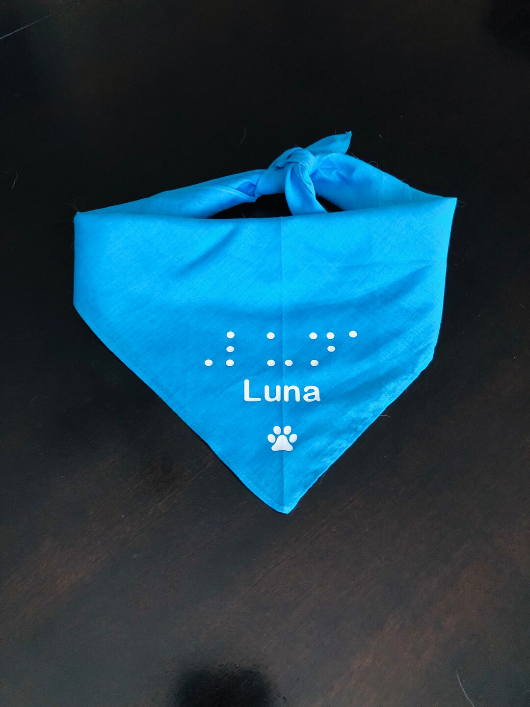 Braille Pet Bandana - Etsy