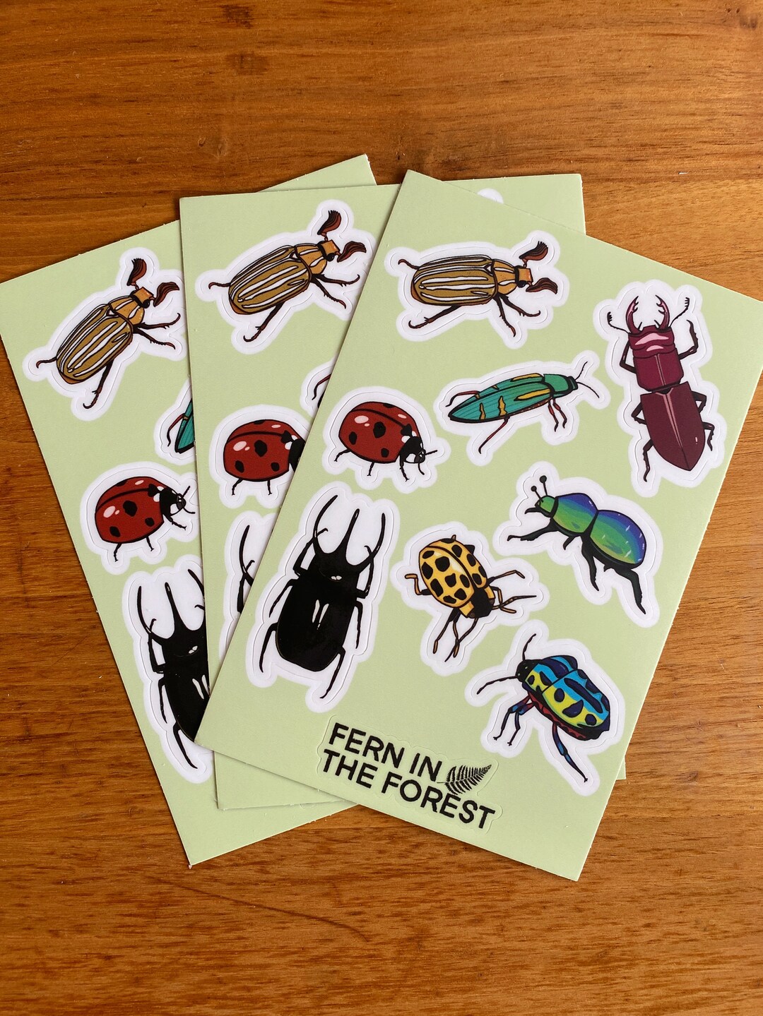 Beetle Sticker Sheets | 4" X 6" Sticker Sheets | Vinyl Stickers Sheet ...