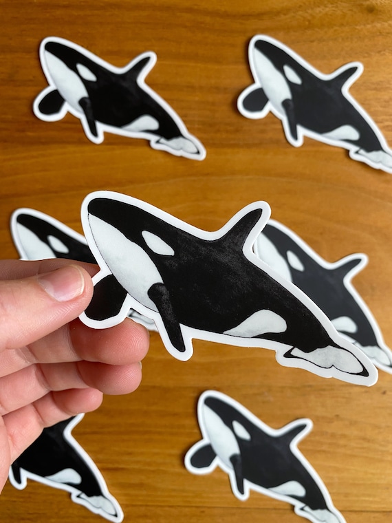 Orca Whale Sticker 3.5 X 2 Killer Whale Stickers - Etsy