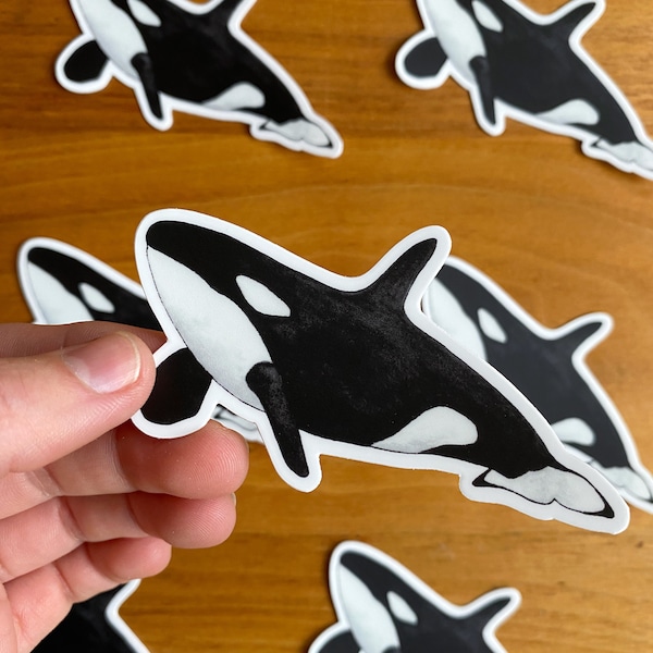 Whale Sticker - Etsy