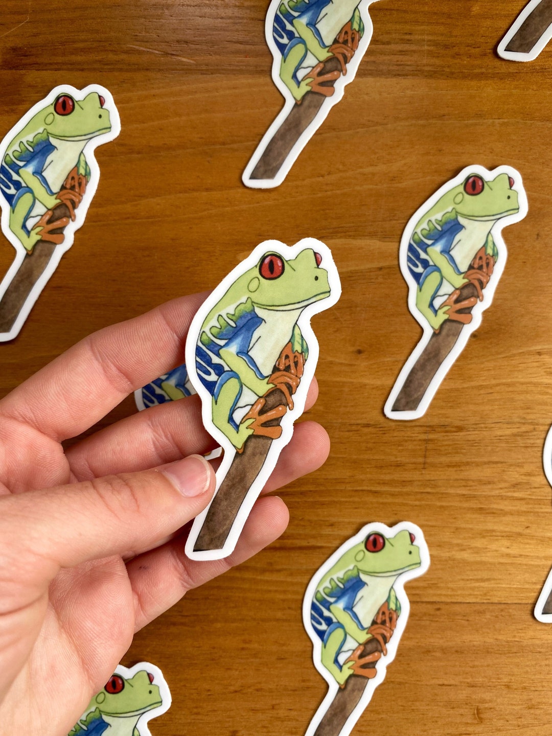 Red Eyed Tree Frog Stickers 3 X 2 Frog Art Sticker Watercolor Frog ...