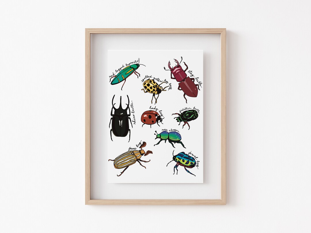 Beetle Art Print 8 X 10 Print Bug Illustration Wall Art Illustrated ...